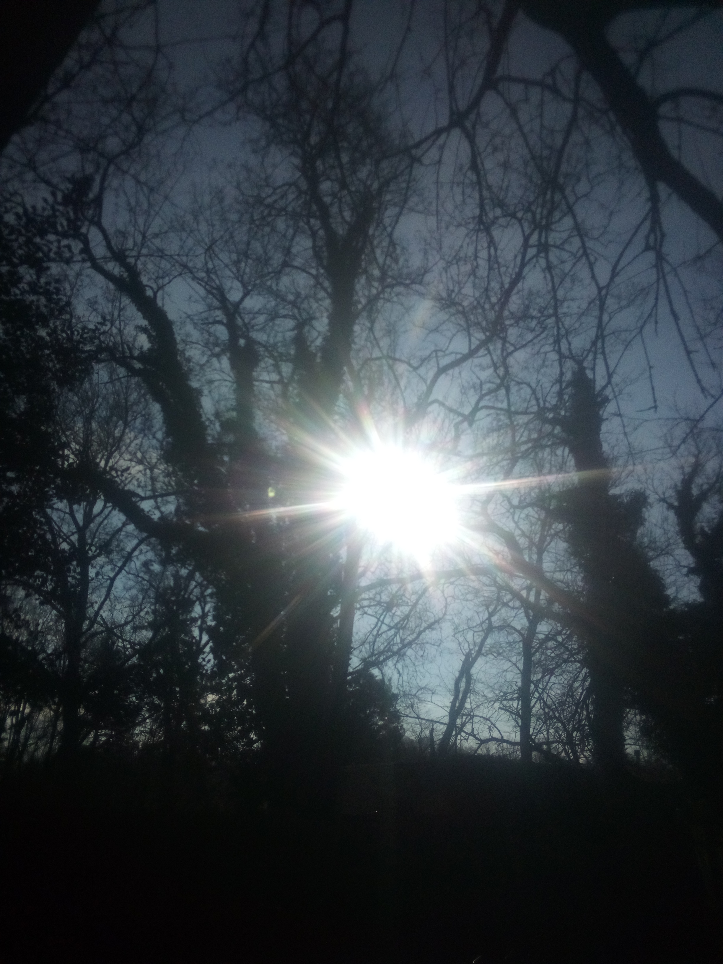 Poem: Your Path Reveals Itself One Step at a Time – Writing Through the ...