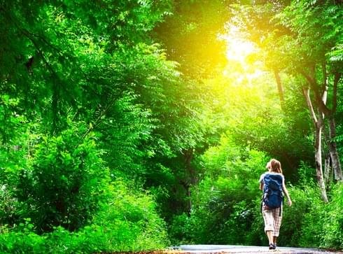 Poem: Slow Down – Writing Through the Soul