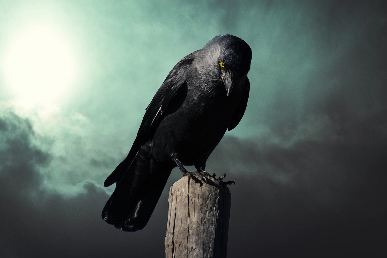 Flash Fiction: The Legend of the Crow – Writing Through the Soul