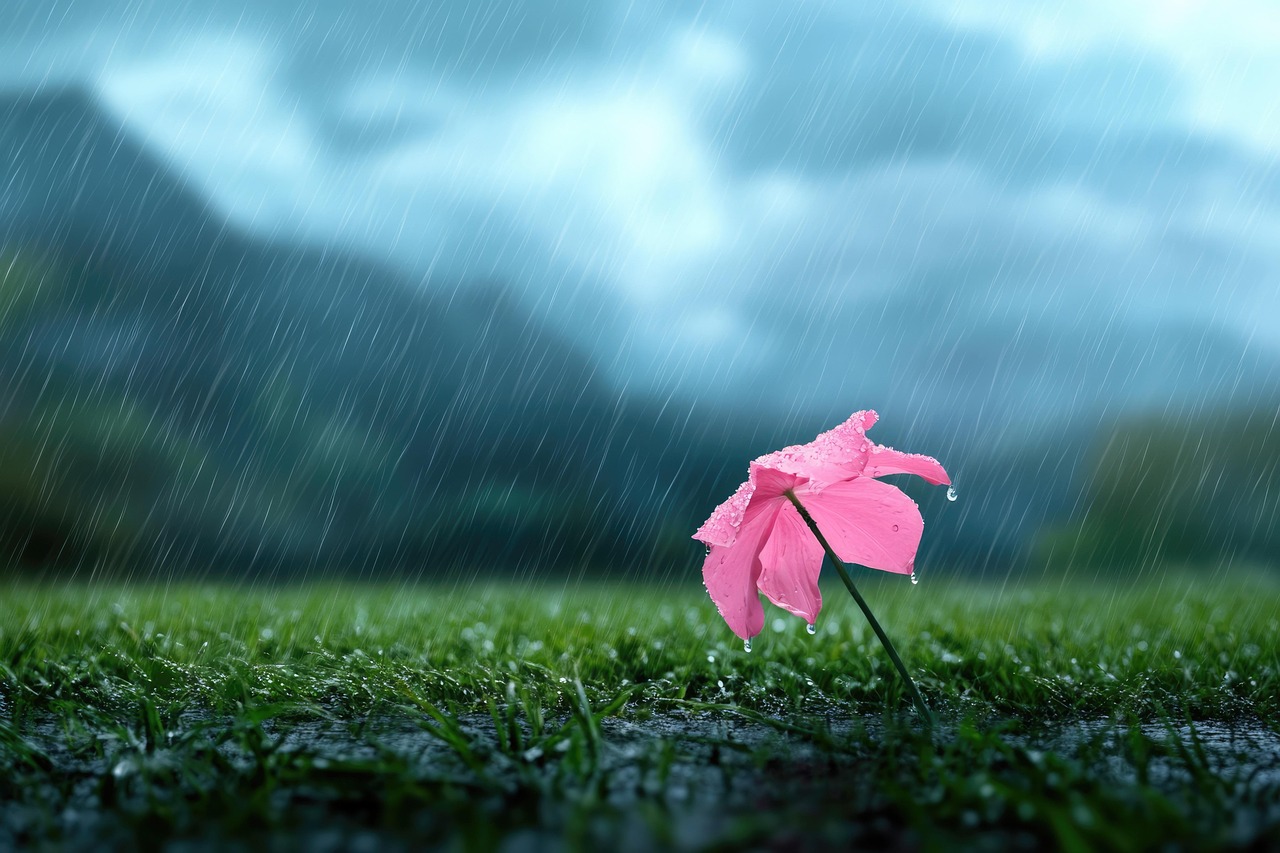 Poem: Summer Rain – Writing Through the Soul