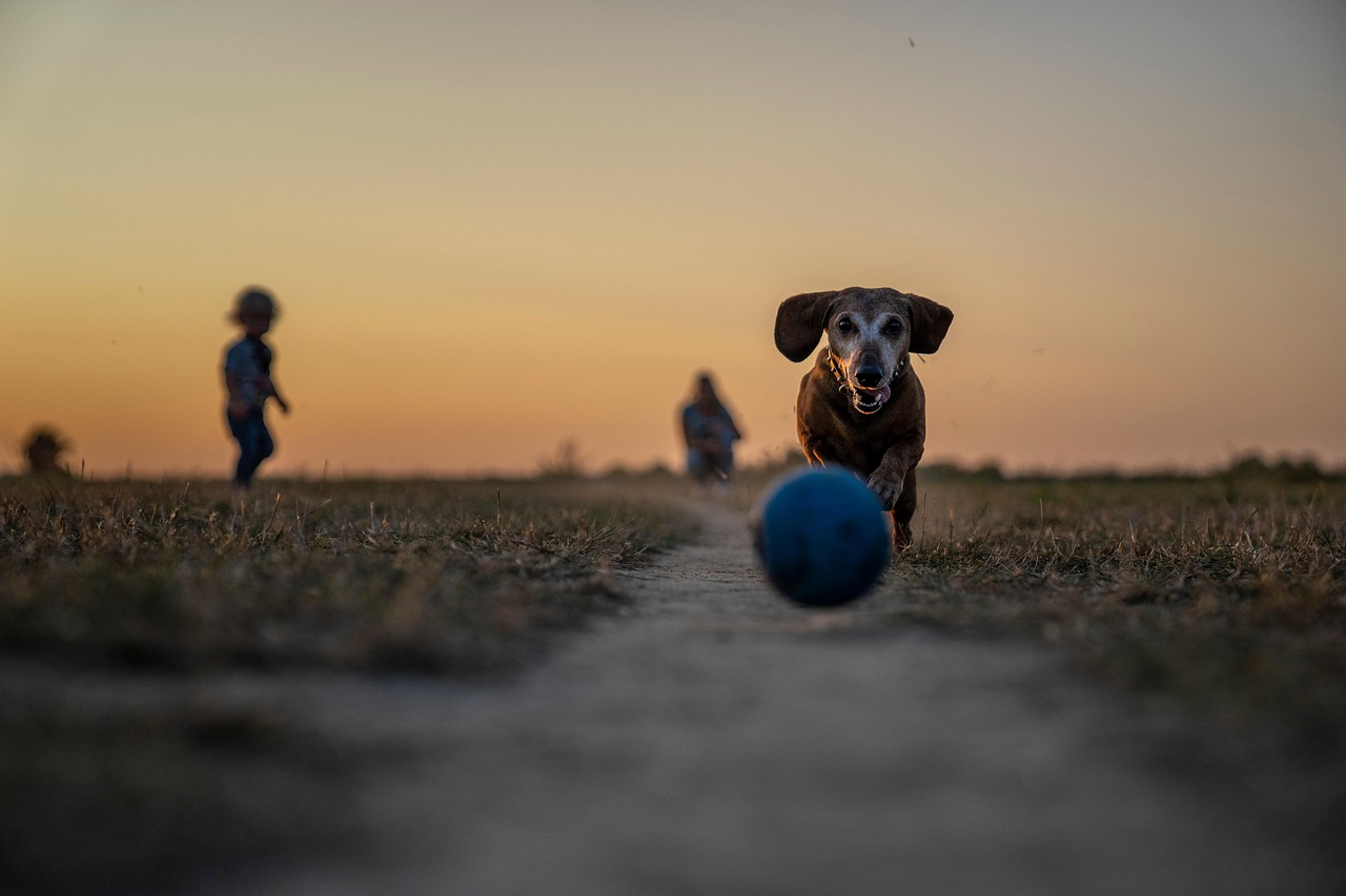 8 Different Meanings of Balls in Dreams – Writing Through the Soul
