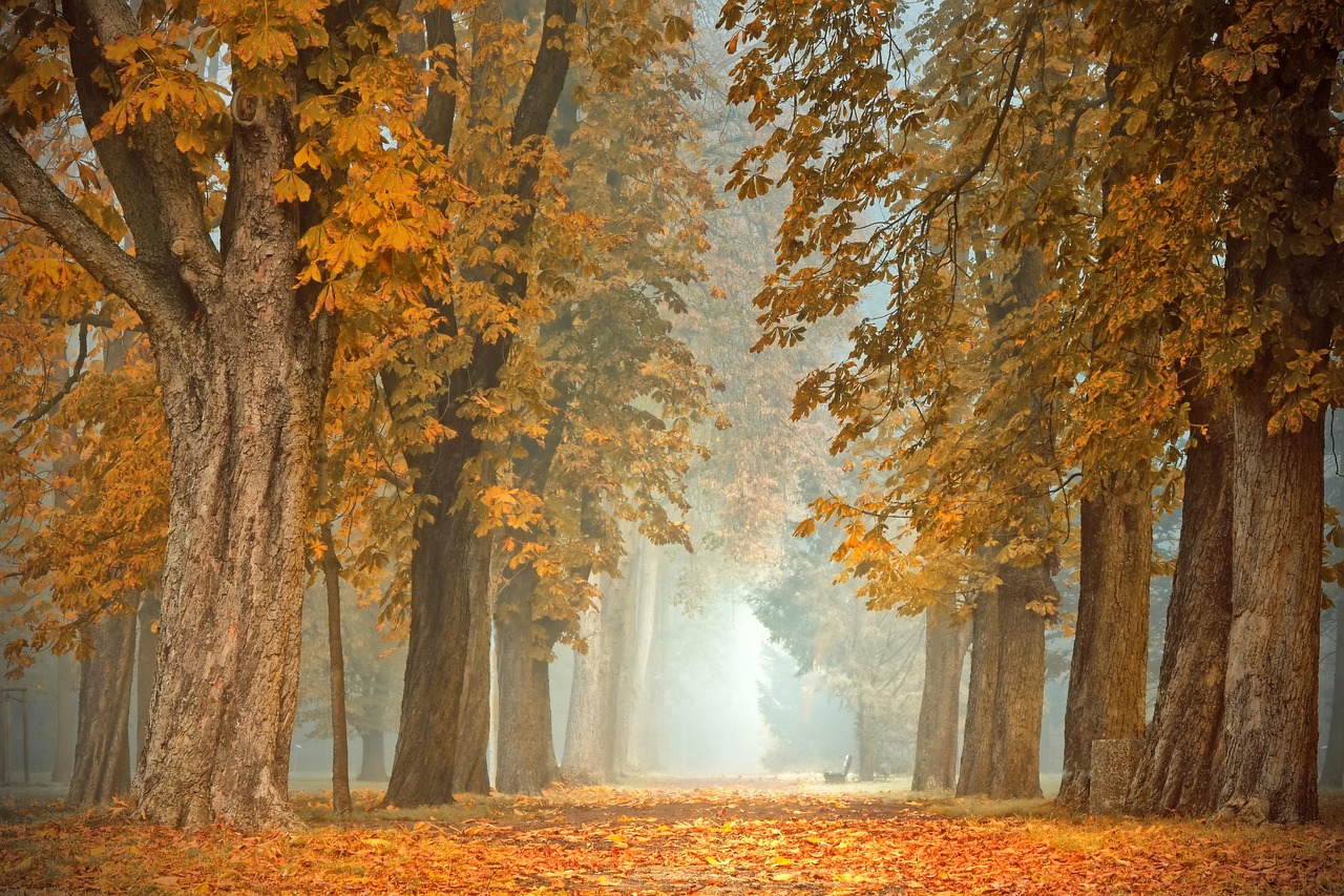Too Many Roads to Turn – Writing Through the Soul