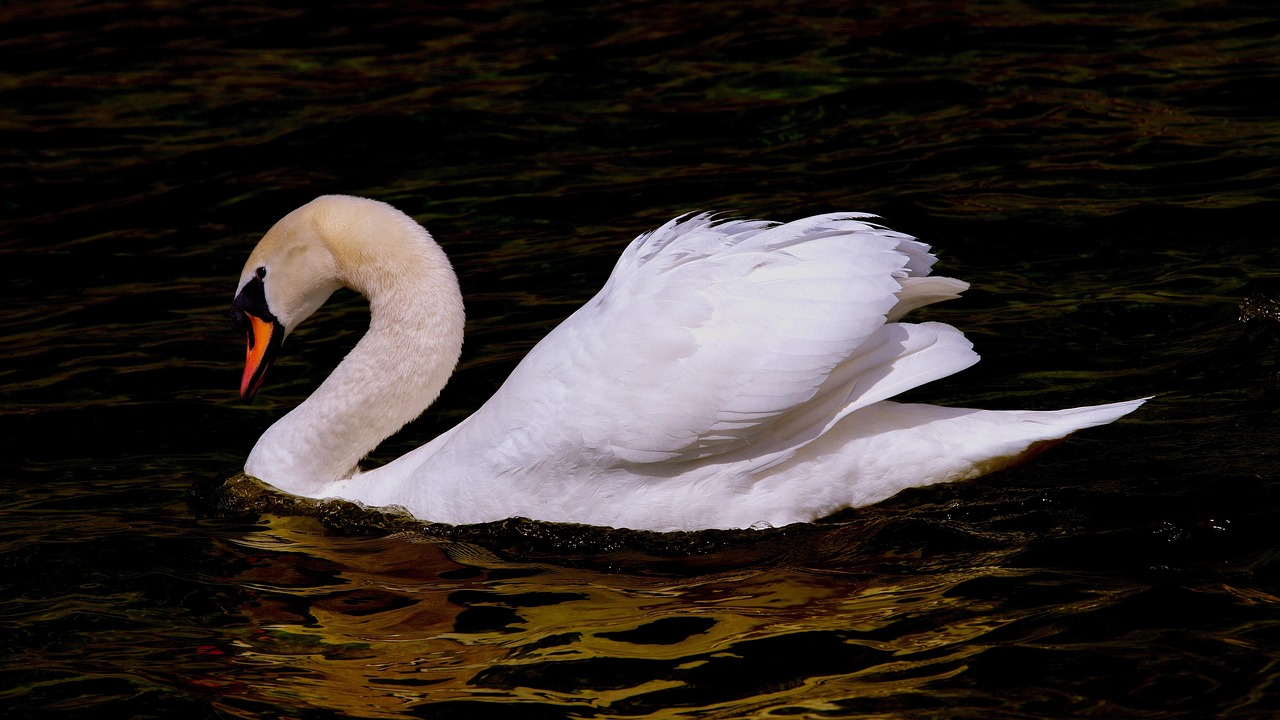 Poem: Go with the Flow – Writing Through the Soul