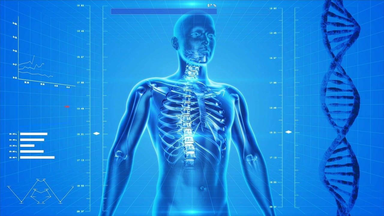Spiritual Questions: The Five Gates of the Spinal Antenna: How to Open ...